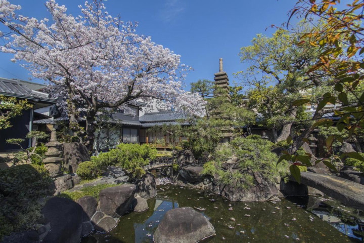 Carpe Diem Osaka - 大阪市