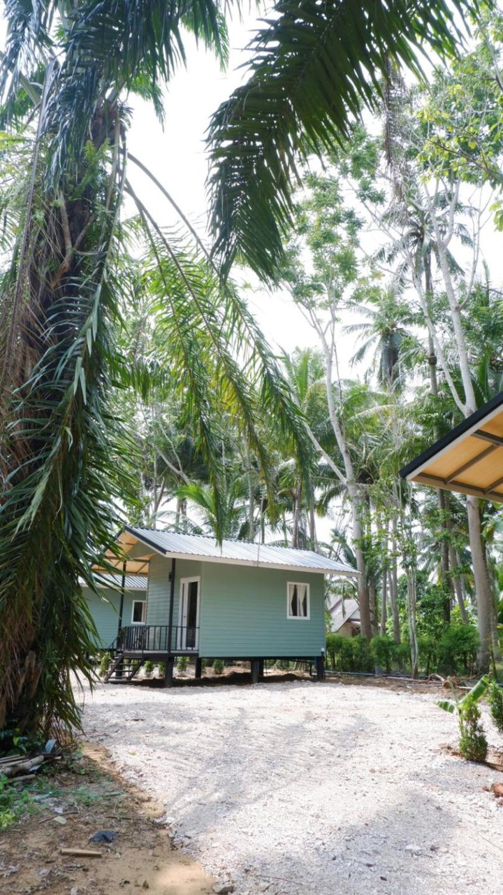 บ้านสวนในป่าสน อำเภอขนอม นครศรีธรรมราช Baan Suan Nai Pa Son - Thailand