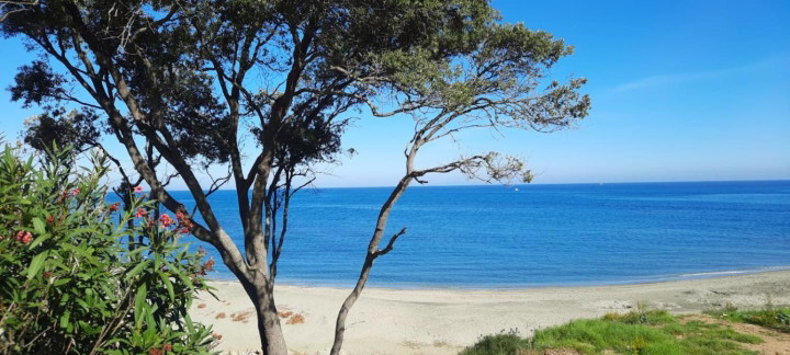 T3 Vue Mer Direct Plage Clim N79 - Corsica