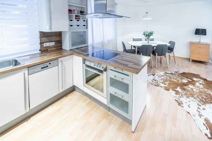 Schmitten & Cityxpress Apartment 1 And 2 - Zell am See