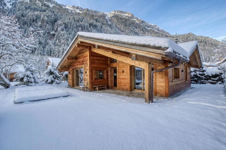 Luxury Mountain Chalet Pool Sauna Cinema - シャモニー