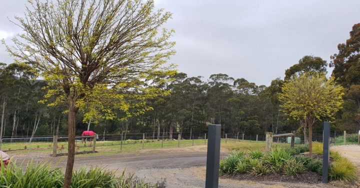 Lockleigh Park - Tasmania
