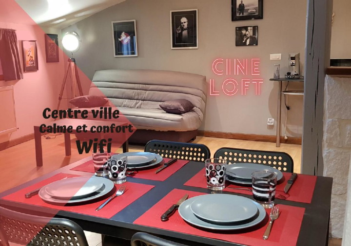 Ciné Loft 55 M2 Centre Ville - Marne