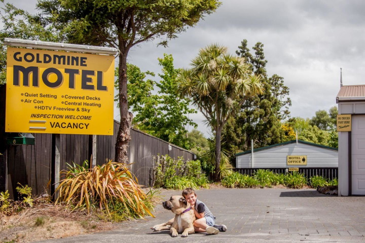 Goldmine Motel - Waihi