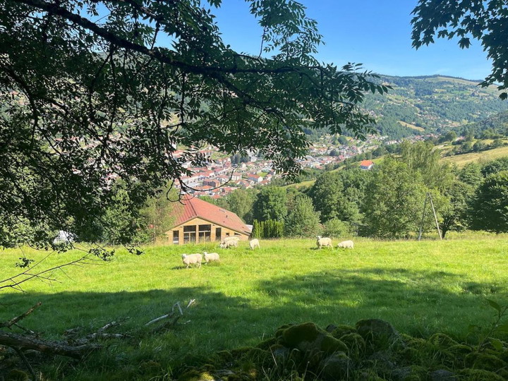 Aux Sources - 14 Personnes - Sauna & Jacuzzi - La Bresse