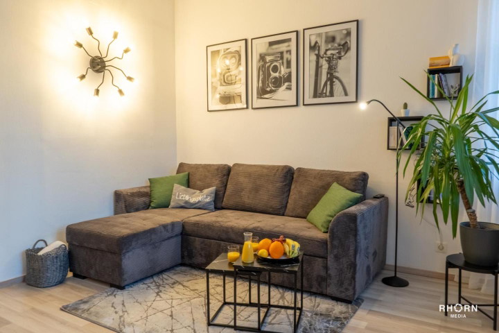 Parkvilla - Ganze Wohnung Mit Netflix - Burgenland