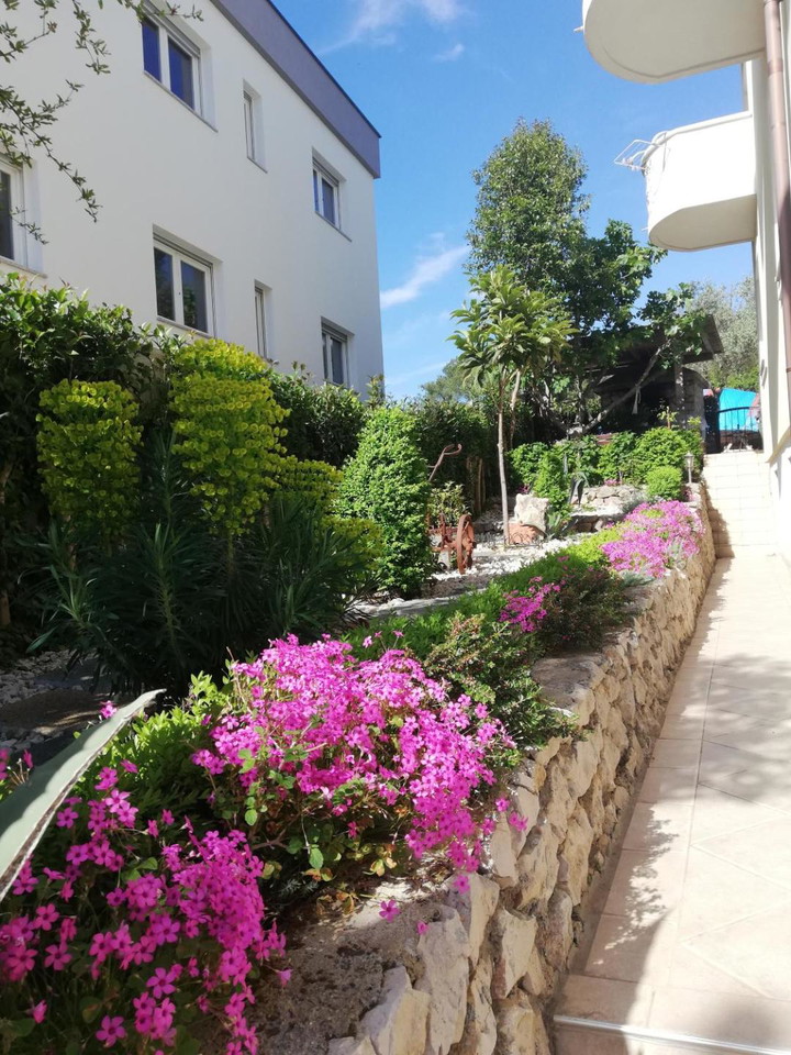 Villa Maslina - Bibinje