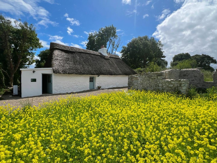 Goggin Cottage - Shannon