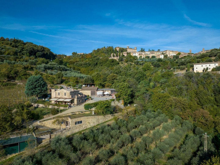 Azienda Agraria La Casella - Montalcino