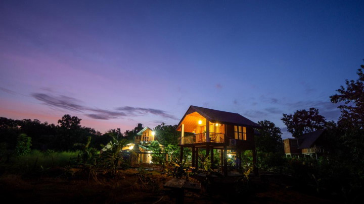 Lion Wood Treehouse - Sri Lanka