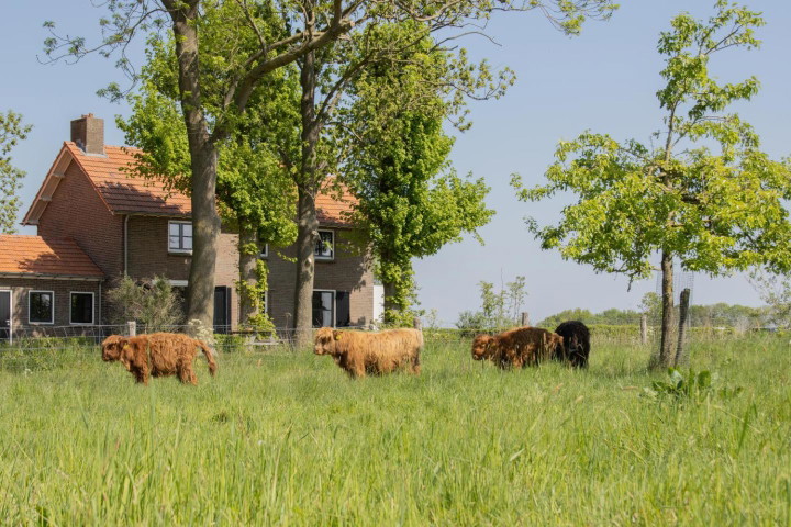 Grazelands - Overnachten Midden In De Natuur - Nijmegen