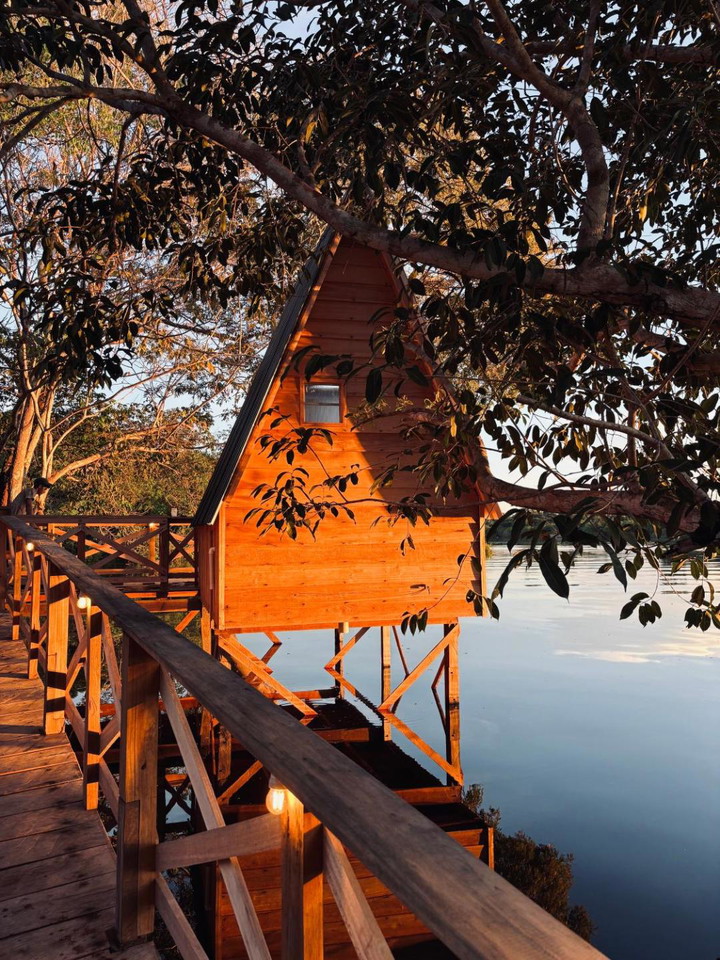 Amazon Private Tours Jungle Lodge - Amazonas, Brasil