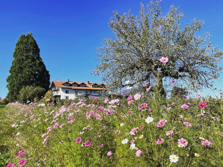 Bergchalet Mirabell Ferienwohnungen - Natururlaub Am Bodensee - Friedrichshafen