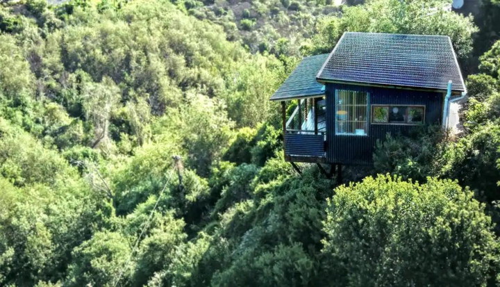 Forest Studio - Knysna
