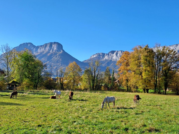 L'appart Des Grands Prés à Doussard Entre Lac Et Montagnes - Doussard