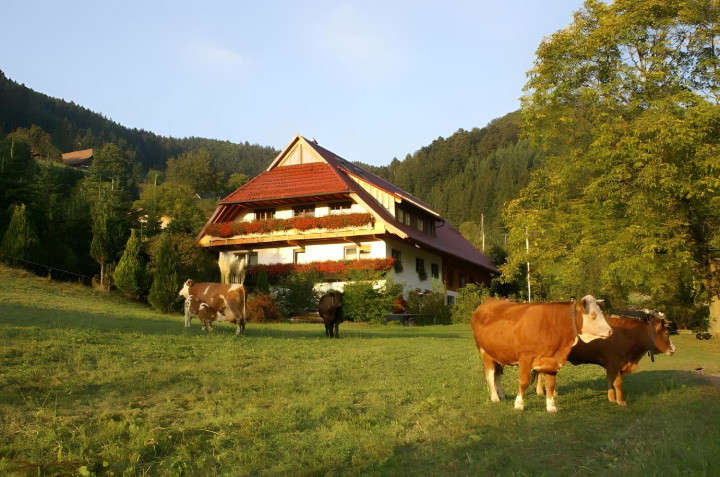 Unterer Gurethshof - Haslach im Kinzigtal
