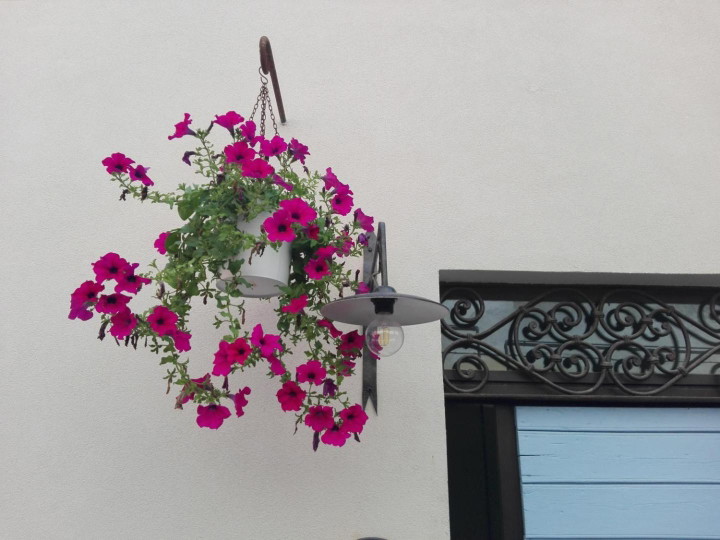 Tambien B&b - Pesaro