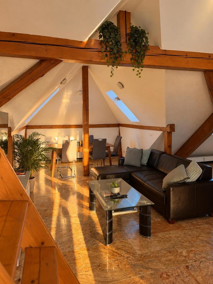 Charming 2 Room Loft Near Messe Basel - Basel