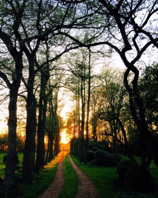 B&b De Mersken - Friesland