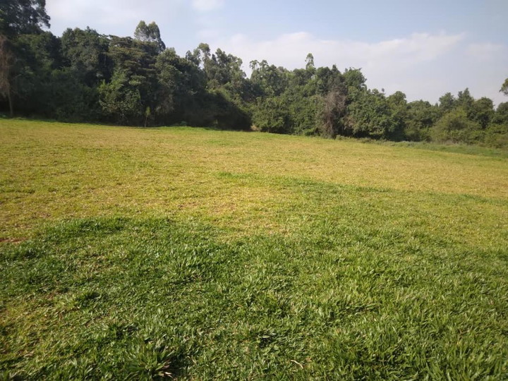 Ngong Road Forest - Nairobi