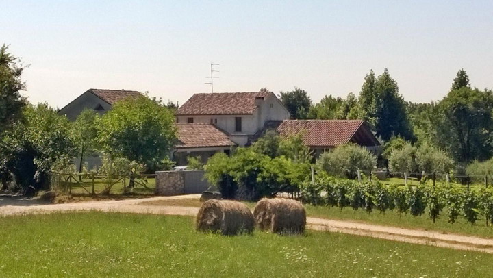 Il Giuggiolo - Conegliano
