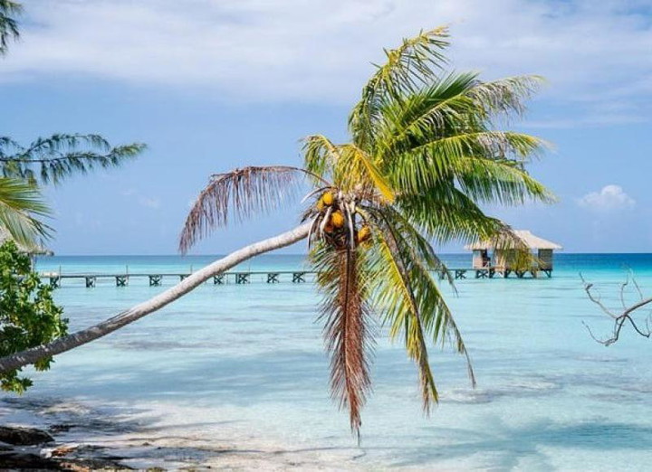 Sunset Hill Lodge - Bora-Bora