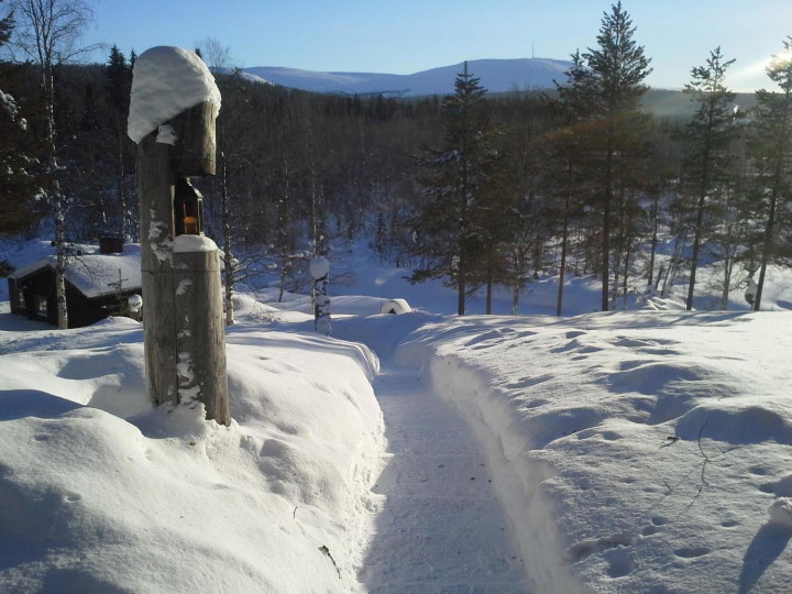 Stena Cabins & Apartments - Lapland