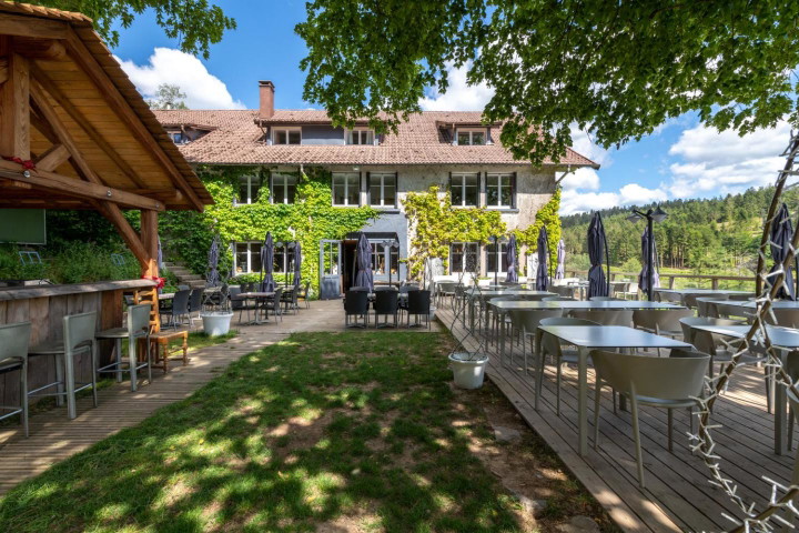 Logis Hôtel La Vigotte - Vosges