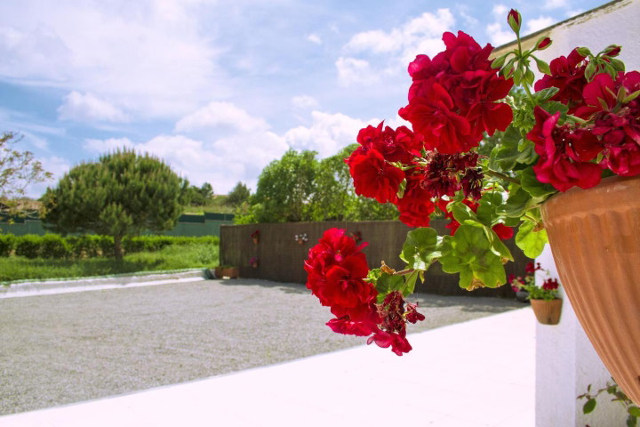 Casal Do Góis Guest House - Portugal
