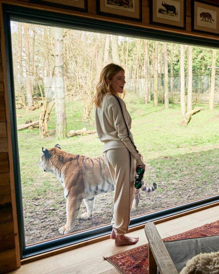 Tiger Lodge - At Port Lympne Hotel & Reserve - Kent