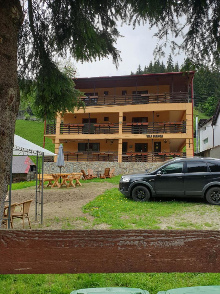 Vila Bianca Dragusin - Bran