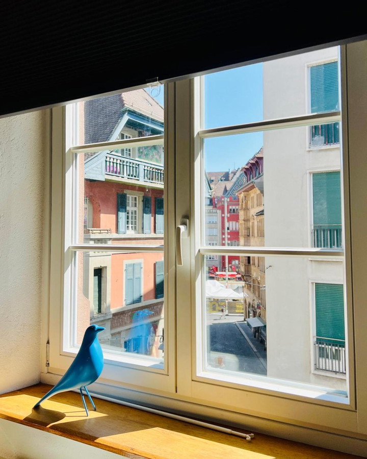 In Swiss Home - Rathaus From 1284 Historical Apartment - Blotzheim
