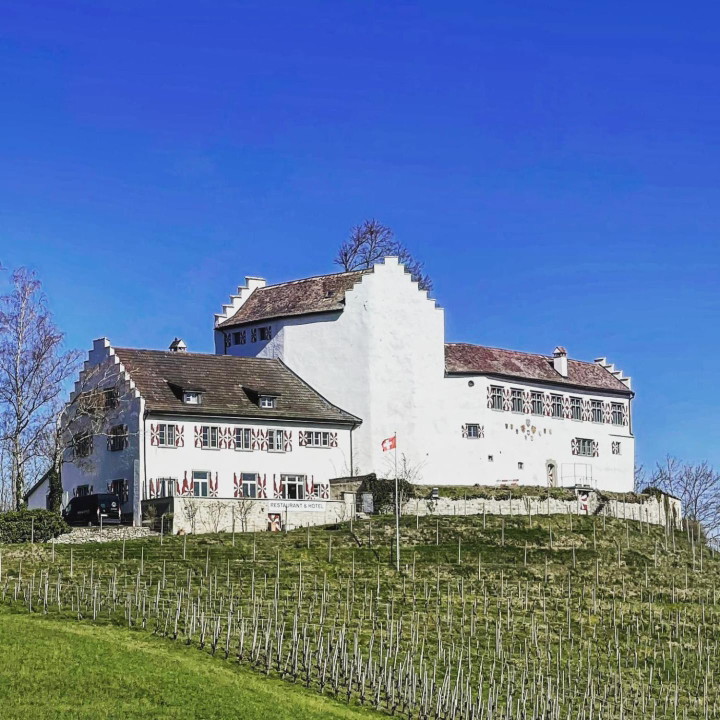 Hotel & Restaurant Schloss Schwandegg - Winterthur