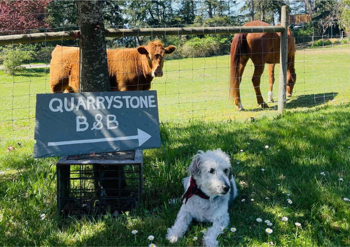 Quarrystone House B&b - Salt Spring Island