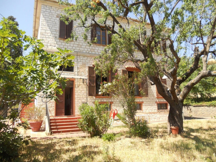 Il Vecchio Mandorlo - Numana