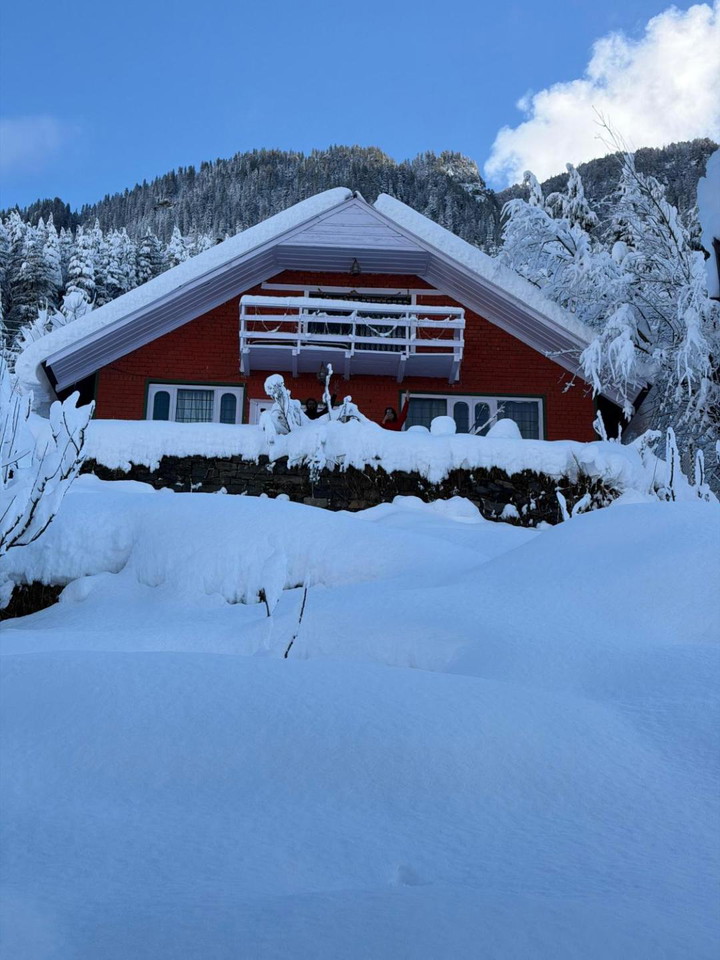 Mistvale Cottage - Manali