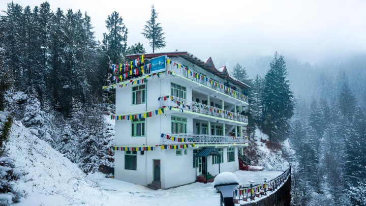 Dormigo - Himachal Pradesh