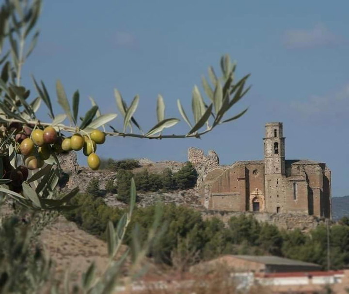 Loft Castelló - Catalonia