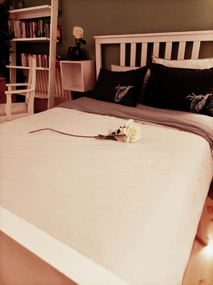 Bright & Calm Grand Studio -La Villette Paris- Near Metro - Montreuil