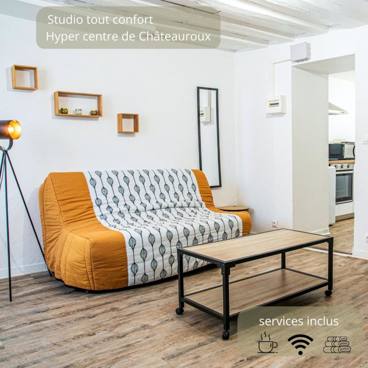 Joli Studio Plein Centre - Indre