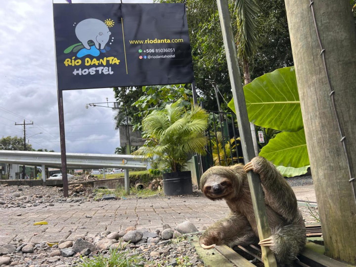 Rio Danta - La Fortuna