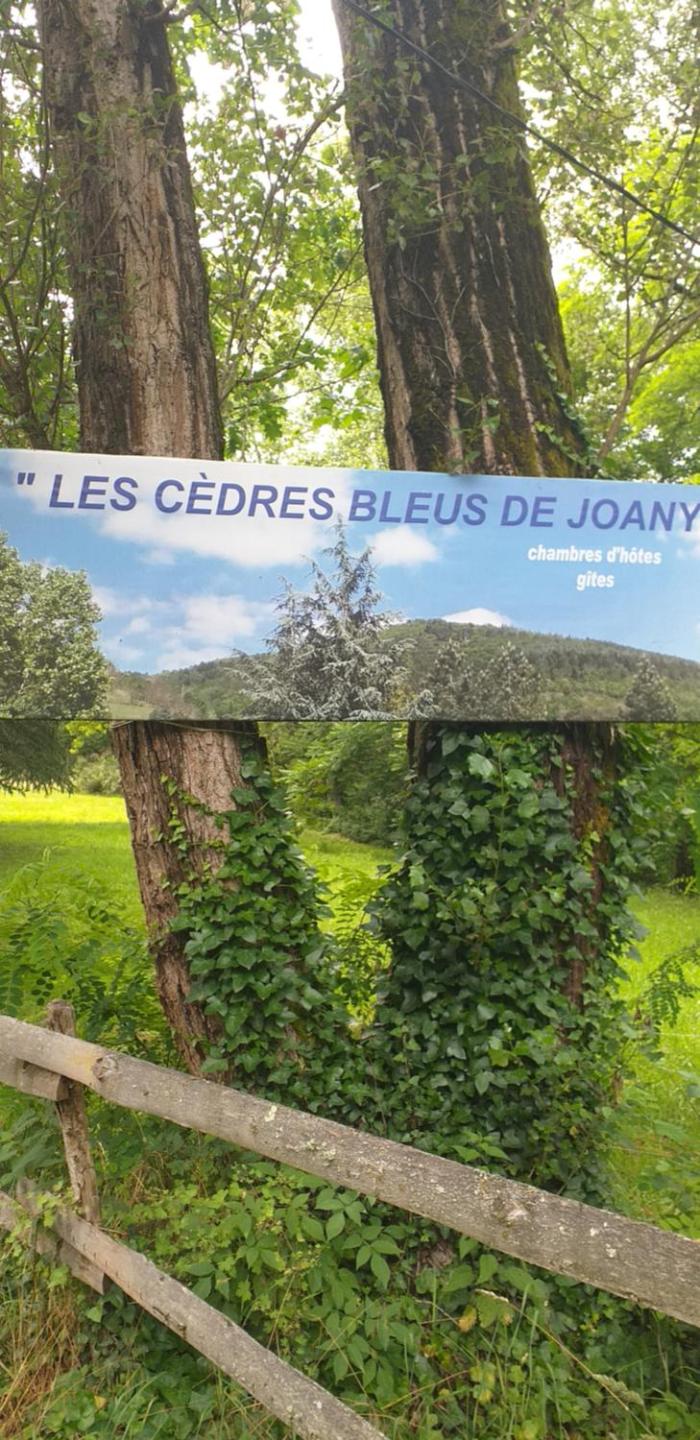 Cèdres Bleus De Joany Chez Nathalie - Aveyron