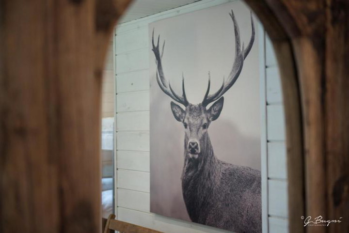 Chalet Le Grand Cerf - Nationalpark Eifel