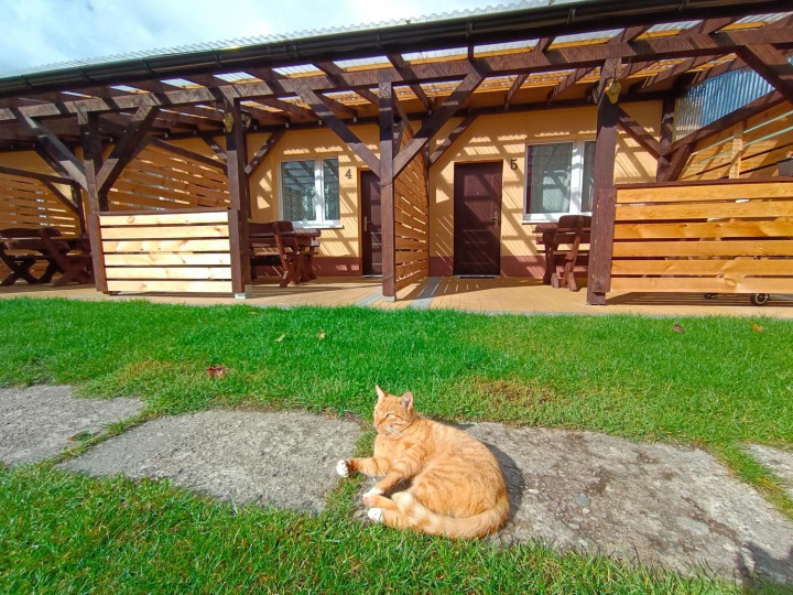 Agroturystyka Alex - Polnische Ostsee