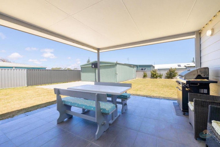 Seagulls - Lancelin