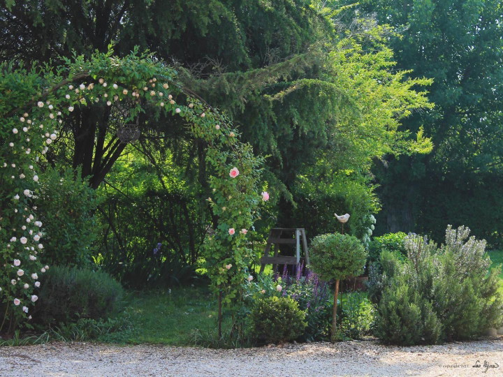 La Vigna B&b - Treviso