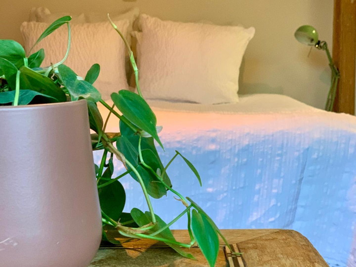 Vakantiewoning Guesthouse Momo - Maasmechelen