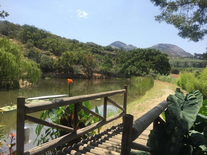 Picardie Guest Farm - Paarl