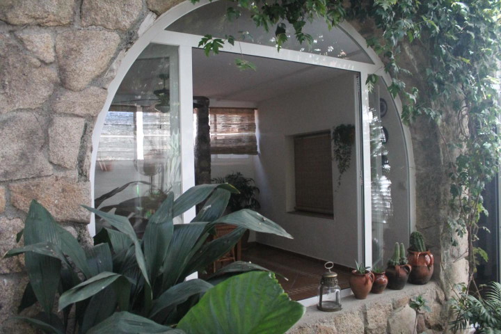 Hedera - Candeleda