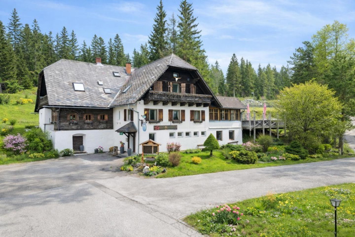 Alpengasthof Hoiswirt - Styria